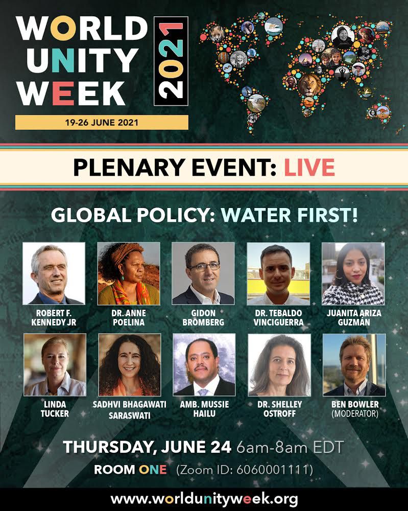World UNITY Week Global Policy Online Event - GIWA
